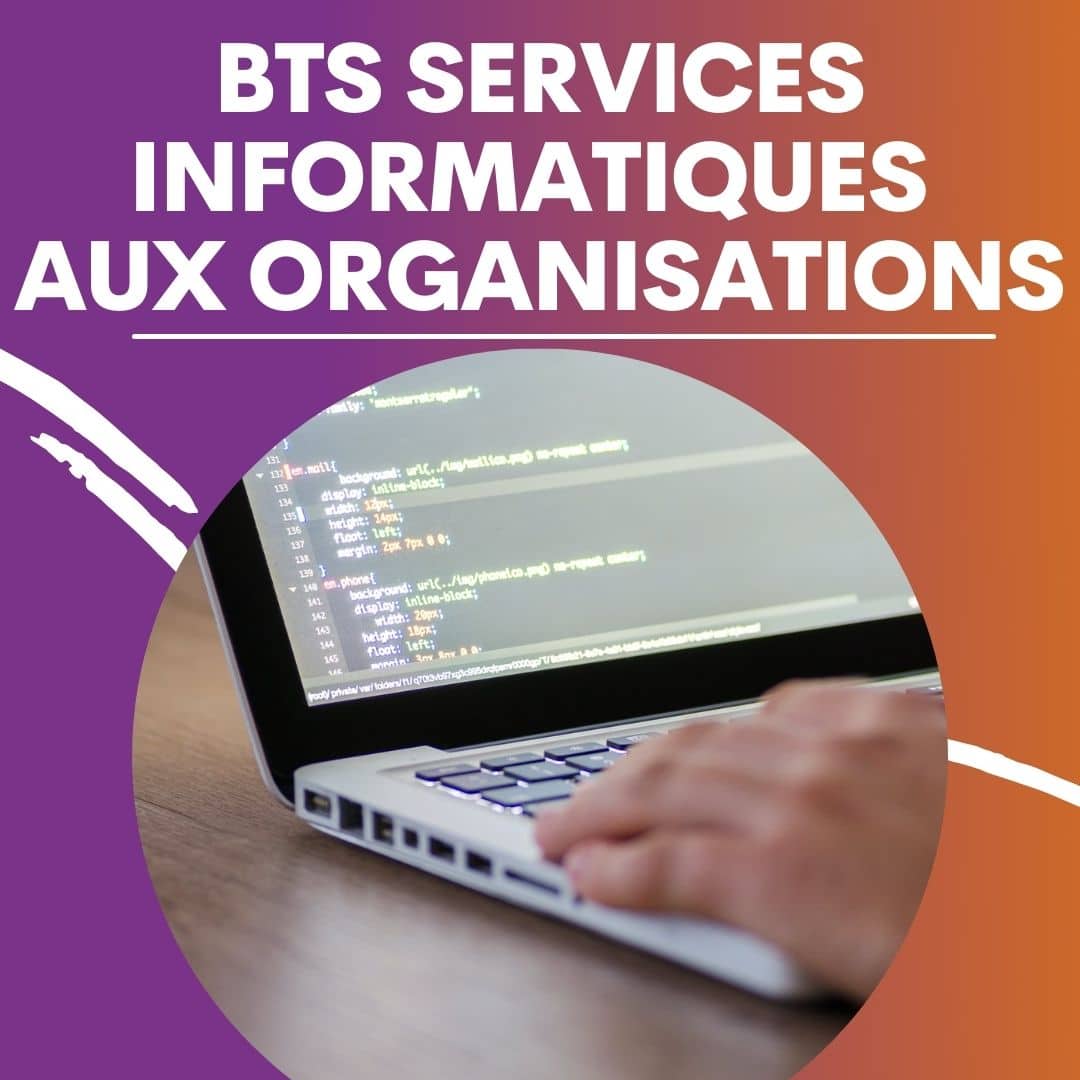 Nos BTS en alternance tout secteur à Paris Ile-de-France - CFA SACEF